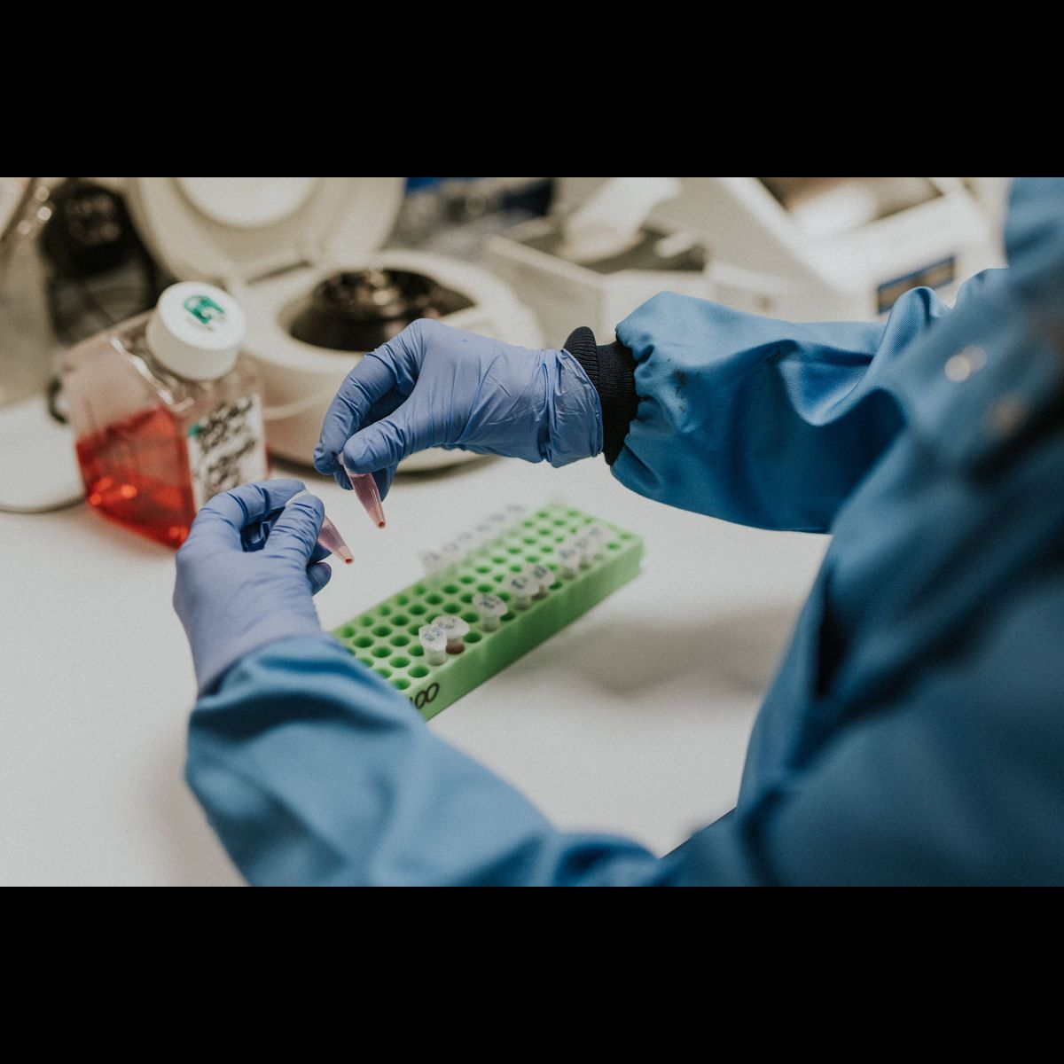 Engineering Biology: Accelerated by AI. Powered by Bristol